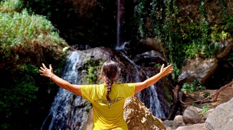 Maspalomas: Barranco de los Cernicalos Rainforest Hike - Discovering the Landscape and the Guides