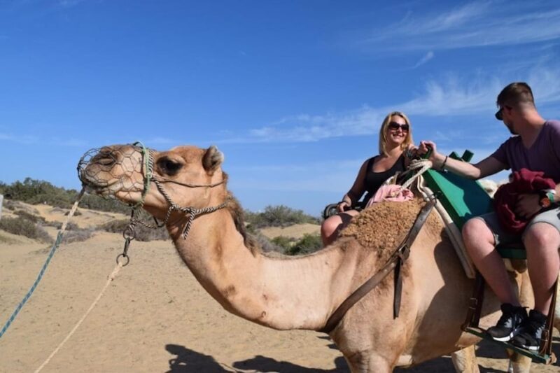 Maspalomas: Guided Camel Ride in the Maspalomas Sand Dunes - An In-Depth Look at the Camel Ride Experience