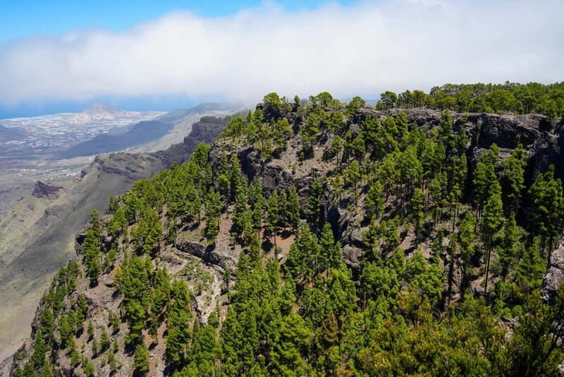 Maspalomas & Las Palmas: Artenara, Tamadaba & cider tasting - FAQ