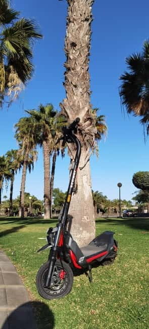 Maspalomas & Playa del Ingles: Guided Electric Segway Tour - Itinerary Breakdown: What to Expect at Each Stop