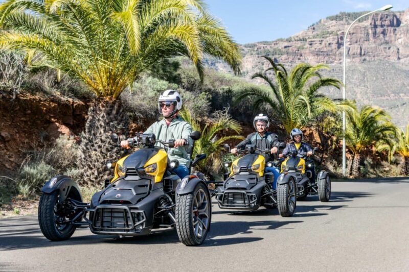 Maspalomas: Ryker Moto Tour to Fataga (Mountain buggy) - Key Points