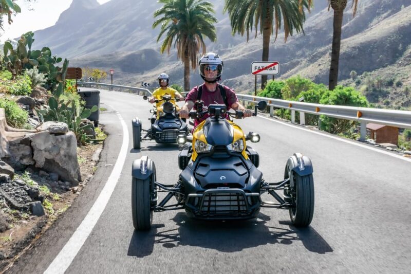 Maspalomas: Ryker Moto Tour to Fataga (Mountain buggy) - Visiting an Aloe Vera Plantation: Learning and Shopping