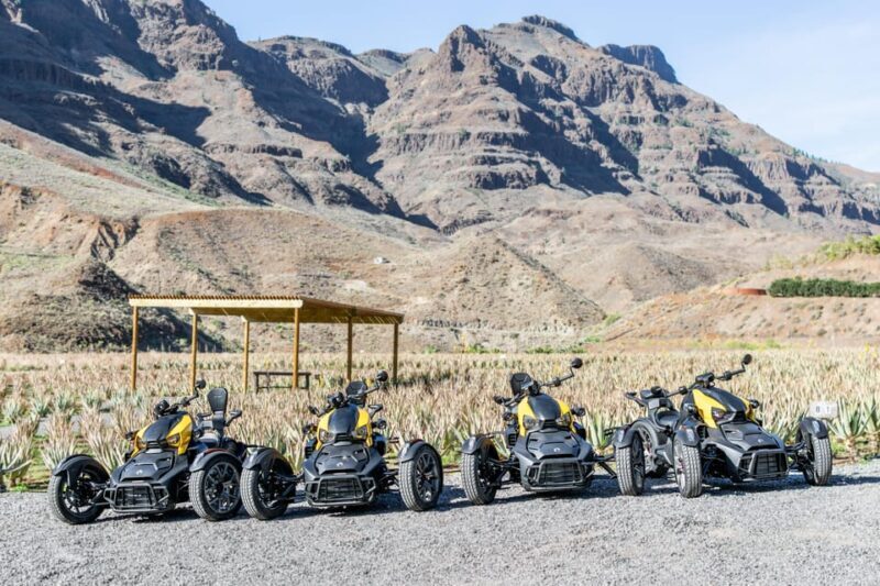 Maspalomas: Ryker Moto Tour to Fataga (Mountain buggy) - The Experience: What to Expect and Why It Matters