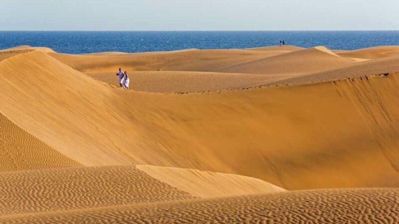 Maspalomas: Southern Coast E-Bike Tour Option Tapas Tasting - Exploring Gran Canaria’s South Coast on an E-Bike: A Detailed Review