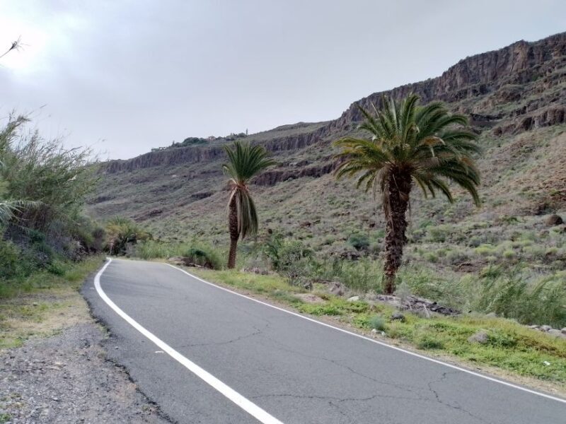 Maspalomas: Southern Coast E-Bike Tour Option Tapas Tasting - What the Reviews Say