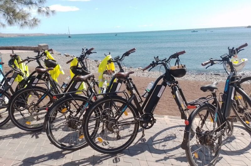 Maspalomas: Southern Coast E-Bike Tour Option Tapas Tasting - Who Should Consider This Tour?