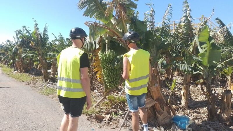 Maspalomas: Southern Coast E-Bike Tour Option Tapas Tasting - FAQ