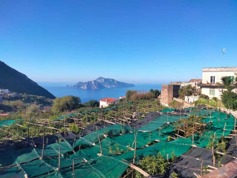 Massa Lubrense: Two Coasts Tour with a Private Driver - A True Alternative to Crowds and Traffic
