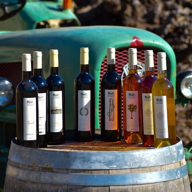 Massmamier La Mignarde : Wine Tasting - What to Expect from the Tour