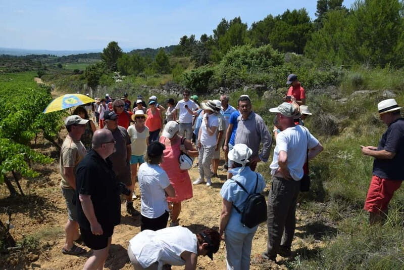 Massmamier La Mignarde : Wine Tasting - The Itinerary Breakdown