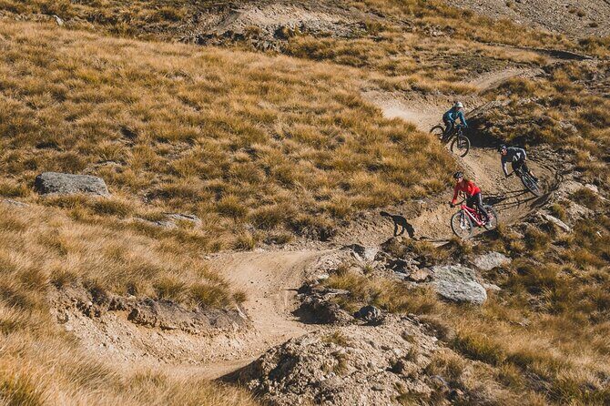 Master Cardrona Bike Park - NZ's Highest MTB park - Who Will Love This Tour?