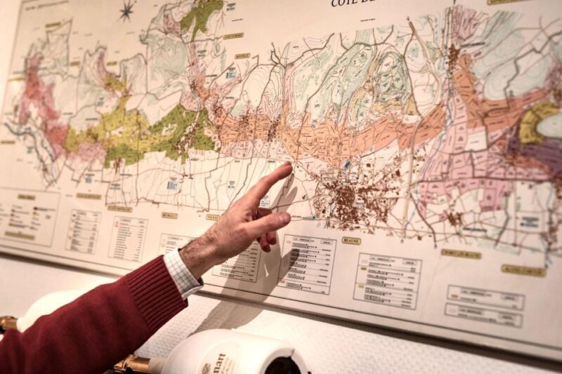 Masterclass Chardonnay - Wine tasting in Dijon - An In-Depth Look at the Burgundy Chardonnay Masterclass