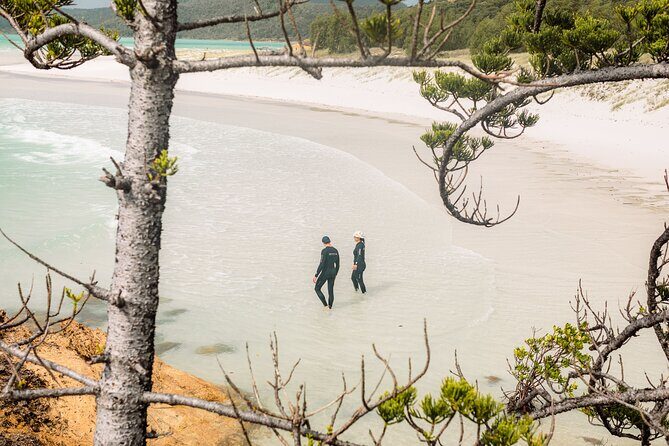 Matador Whitsundays - Authentic Reviews from Travelers