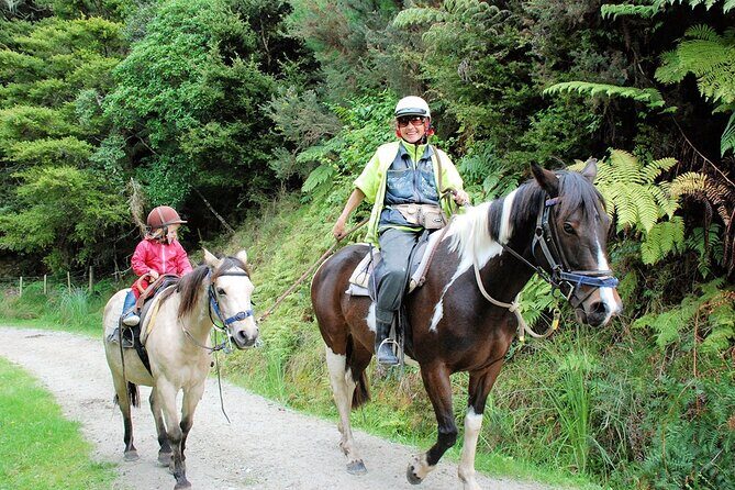 Matakana Art & Horse Riding Experience Private Tour From Auckland - Analyzing the Value