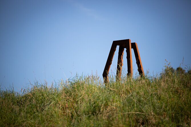 Matakana Art & Vineyard Experience incl. Lunch & Wine Tasting Tour From Auckland - Key Points