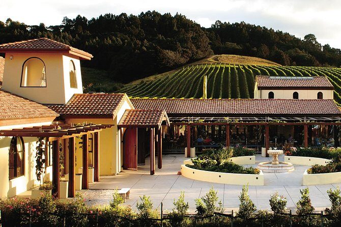 Matakana Riverside Market, Beaches and Winery Tour from Auckland - An In-Depth Look at the Tour Experience
