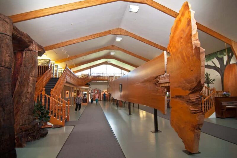Matakohe: The Kauri Museum Entry Ticket - Who Would Benefit Most?
