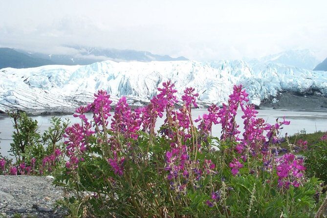 Matanuska Glacier Winter Tour - Who Should Consider This Tour?