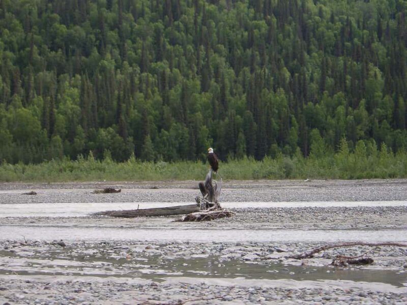 Matanuska River Scenic Float - FAQ