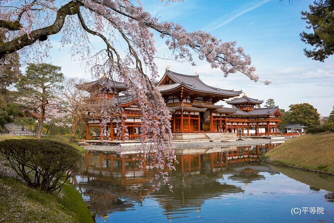 Matcha Grinding Experience and Walking Tour in Uji Kyoto - An In-Depth Look at the Tour Experience