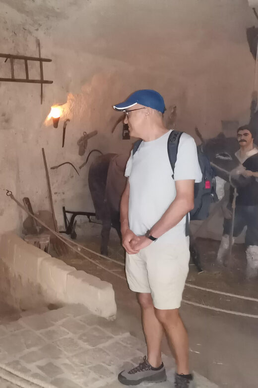 Matera & Alberobello Tour customized & escorted by Gabry - Final Thoughts: Is This Tour for You?