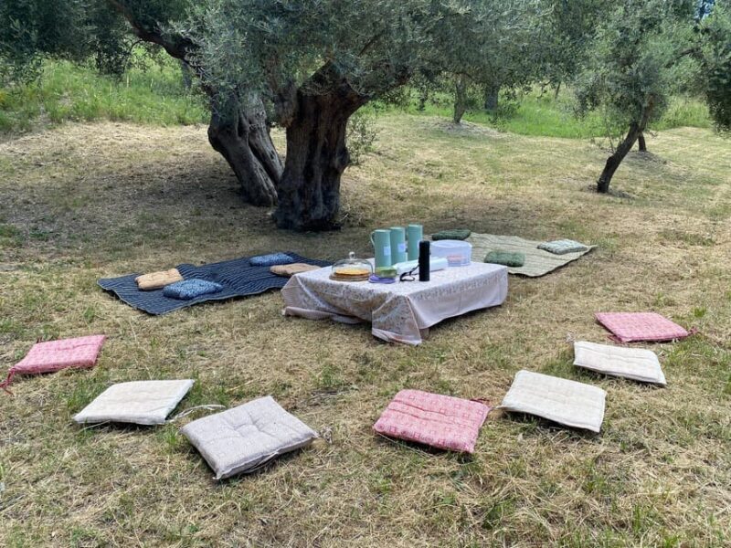 Matera: Pic-Nic under the Centuries-Old Olive Trees - An In-Depth Look at the Olive Grove Picnic Tour