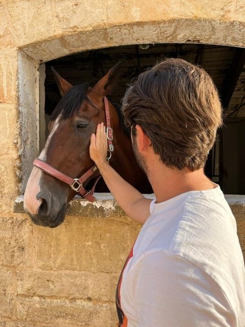 Matera: sunset horseback riding tour on Murgia - Key Points
