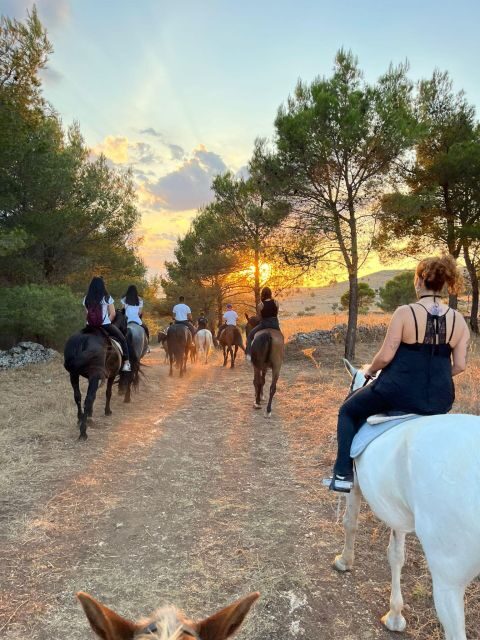 Matera: sunset horseback riding tour on Murgia - An Introduction to the Experience