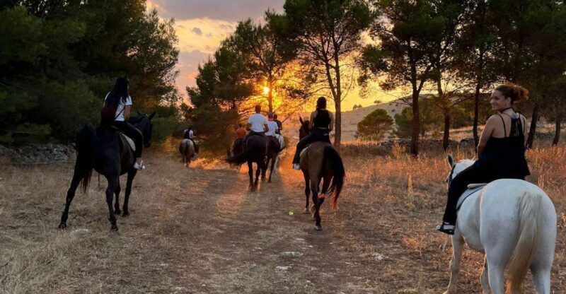 Matera: sunset horseback riding tour on Murgia - Returning to Base