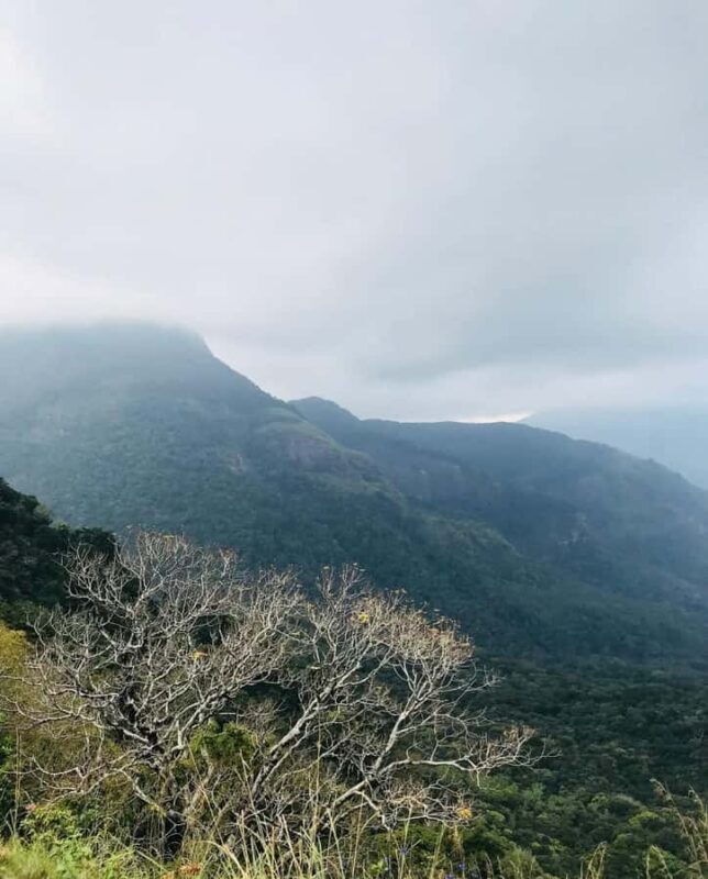 Mathale/Kandy: Riverston Peak Tour with Transfers - Who Will Love This Tour?