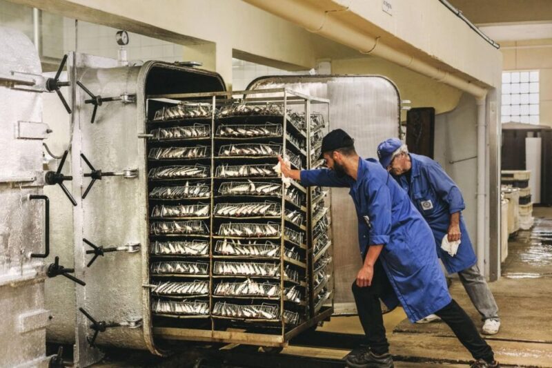 Matosinhos: Conservas Pinhais Factory Tour - Key Points