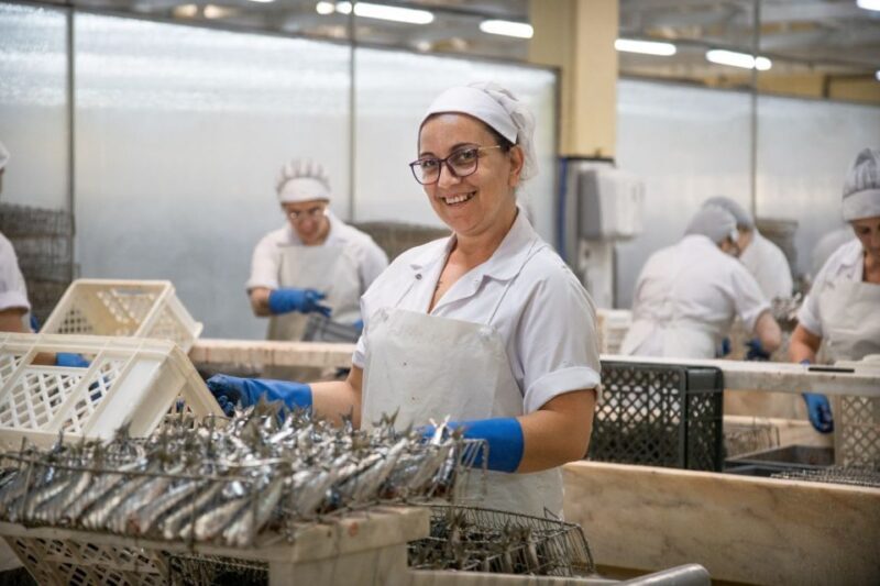 Matosinhos: Conservas Pinhais Factory Tour - Final Thoughts: Who Should Join?