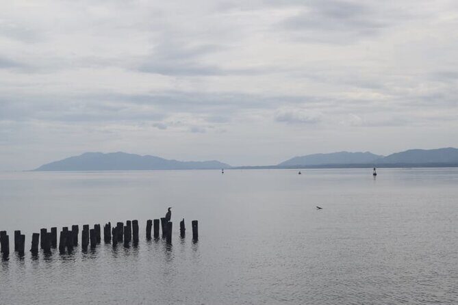 Matsue Half-Day Private Trip with Government-Licensed Guide - Unlocking the Charm of Matsue with a Half-Day Private Tour