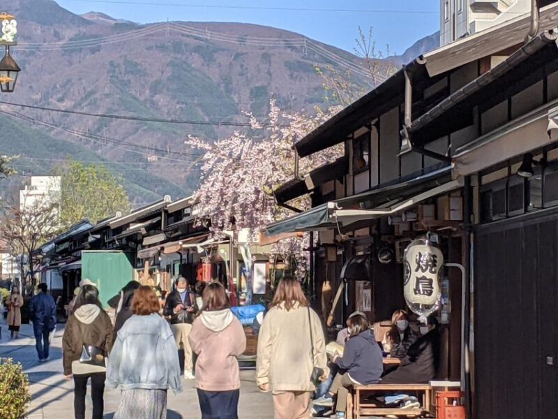 Matsumoto Castle Town Walking Tour - What to Expect from the Matsumoto Castle Town Walking Tour