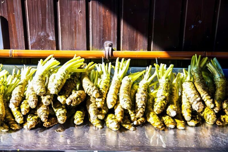 Matsumoto Everything: Castle, Miso, Wasabi, Wine & Ukiyo-e - Discovering the Craft of Miso