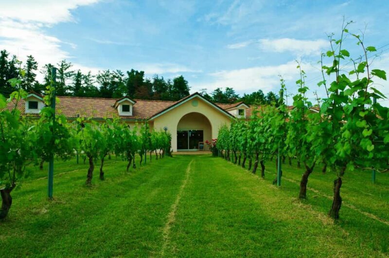 Matsumoto Everything: Castle, Miso, Wasabi, Wine & Ukiyo-e - What Travelers Are Saying