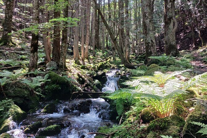 Matsumoto Mt.Hachibuse - Who Should Consider This Tour?