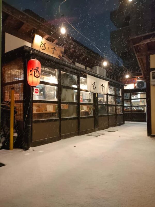 Matsumoto: Sake Brewery Visit and Local Izakaya Dinner - Who Should Consider This Tour