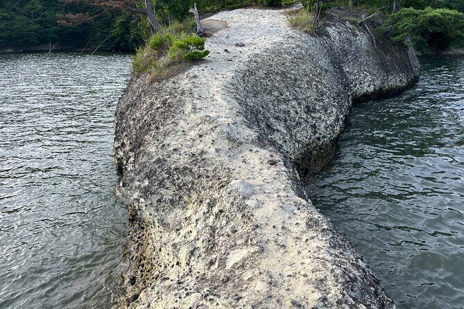 Matsushima Coastal and Spiritual Day Tour - A Closer Look at the Matsushima Coastal and Spiritual Day Tour