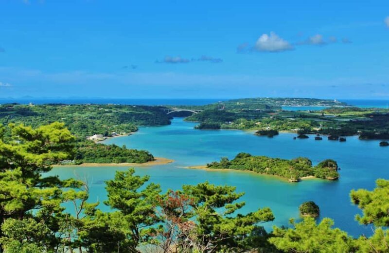 Matsushima: Scenic Bay Walk & Historic Temple Discovery - Discovering Matsushima: A Guide to the Experience