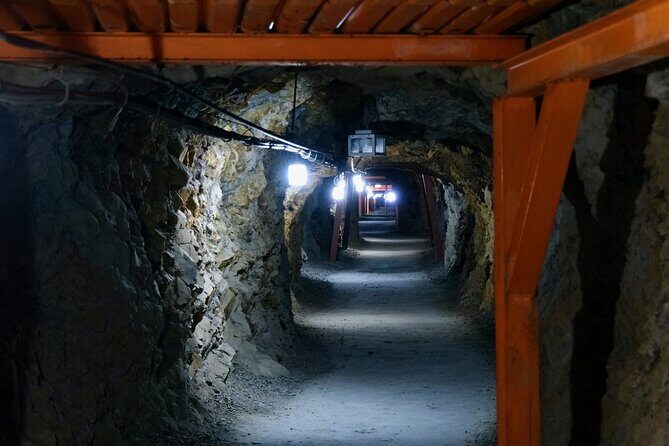 Matsushiro Samurai Town Tour from Nagano by Car - Who Will Love This Tour?