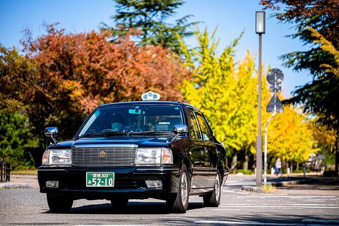 Matsuyama Ehime Private Transport and Travel - Detailed Breakdown of the Experience