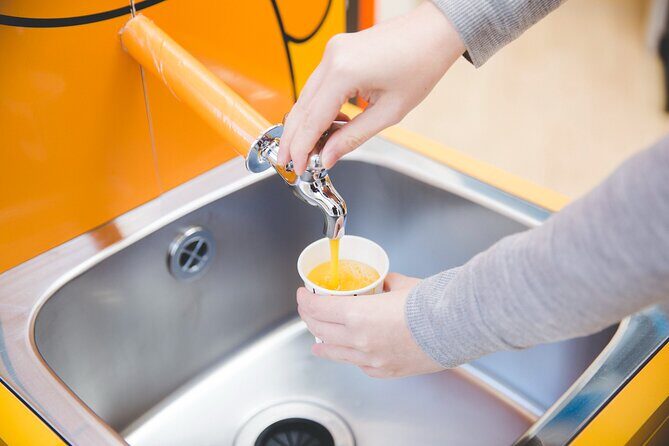 Matsuyama Private Tour for Shore Excursion - Value and Practical Considerations