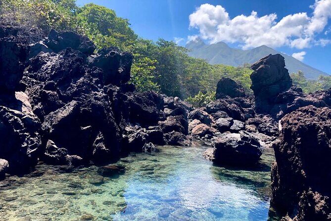 Matthews Private Highlights Tours - Transportation and Group Dynamics