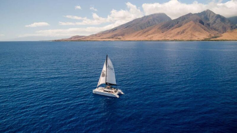 Maui: Afternoon Catamaran Sail w/ Local Culture & Cocktails - What Travelers Say: Authentic Perspectives