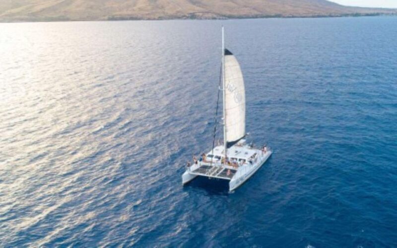 Maui: Alii Nui Whale Watch & Catamaran Sail - The Itinerary and Highlights in Detail