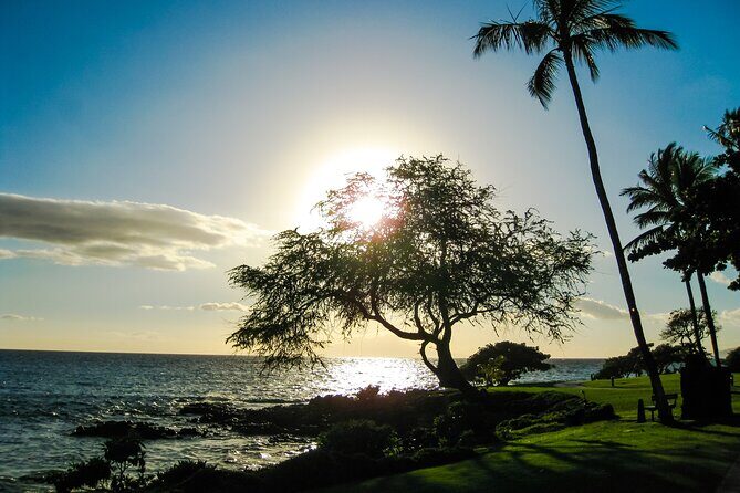 Maui Beach Parks Self-Guided Driving Tour - Final Thoughts