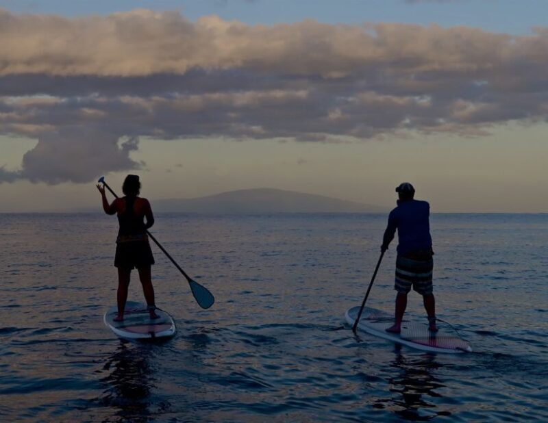 Maui: Beginner Level Private Stand-Up Paddleboard Lesson - Who Will Love This Tour?