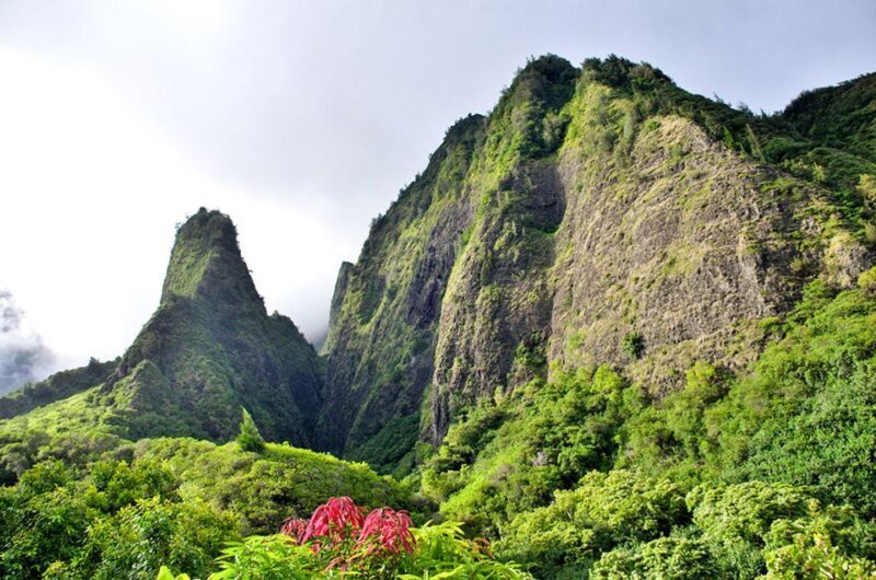 Maui: Best of Maui/Haleakala - Sips, Sites & Bites - Exploring the Journey: What to Expect