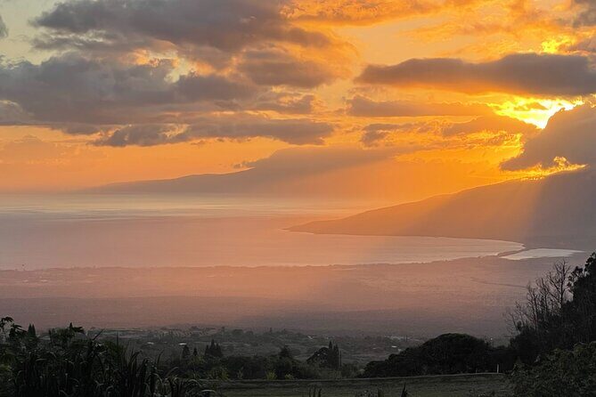 Maui Birdwatching at Maui Bird House - An Authentic Maui Experience from the Start